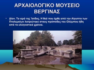 Η βεργίνα και το μουσείο της | PPT