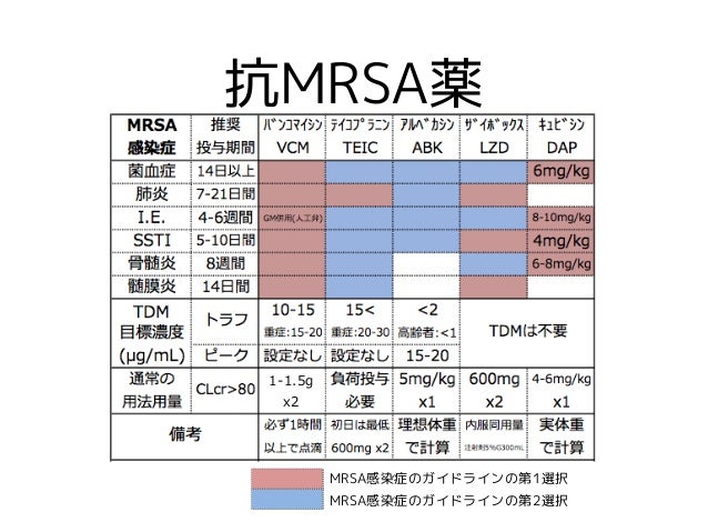 抗菌薬と細菌について改訂版