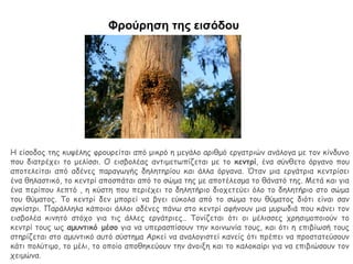 ΜΕΛΙΣΣΑ | PPT