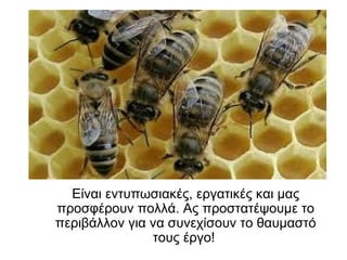 ΜΕΛΙΣΣΑ | PPT