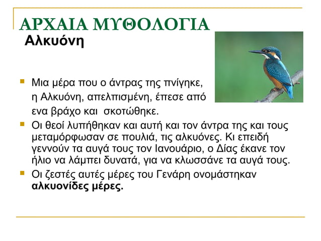 ΤΑ ΠΟΥΛΙΑ ΣΤΗΝ ΤΕΧΝΗ | PPT