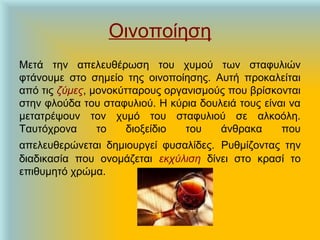 ΟΙΝΟΠΟΙΗΣΗ-ΠΑΛΑΙΩΣΗ-ΕΜΦΙΑΛΩΣΗ | PPT