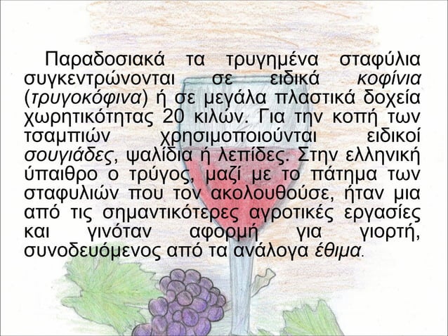 ΠΑΡΑΓΩΓΗ ΚΡΑΣΙΟΥ (ΤΡΥΓΟΣ-ΓΛΕΥΚΟΠΟΙΗΣΗ-ΖΥΜΩΣΗ) | PPT