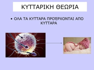 κυτταρο | PPT