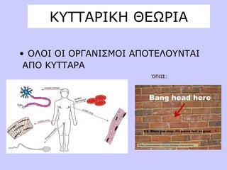 κυτταρο | PPT
