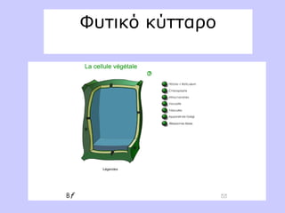 κυτταρο | PPT
