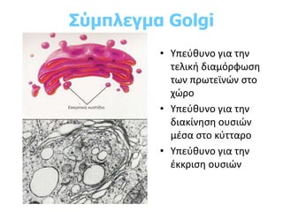 το κυτταρο | PPTX