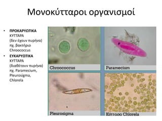 το κυτταρο | PPTX