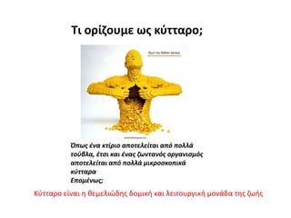 το κυτταρο | PPTX