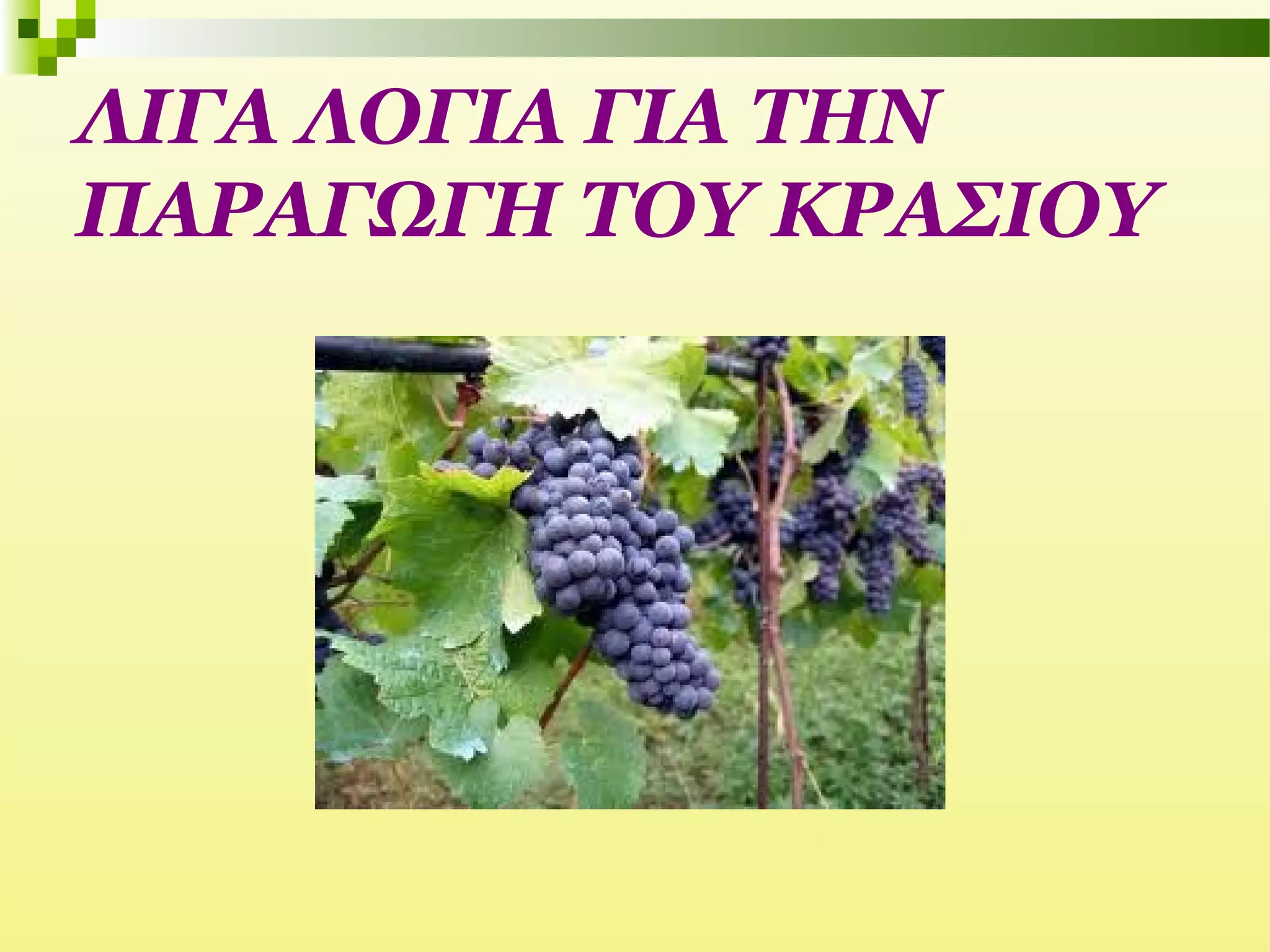 λιγα λογια για την παραγωγη του κρασιου | PPT