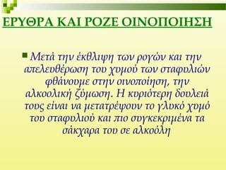 λιγα λογια για την παραγωγη του κρασιου | PPT