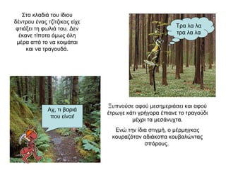 ο τζίτζικας κι ο μέρμηγκας | PPT