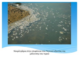Ρύπανση νερού – Όξινη βροχή | PPTX