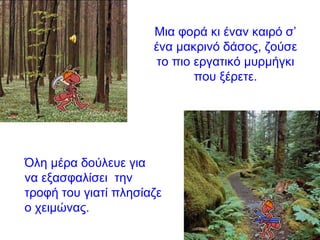 ο τζίτζικας και ο μέρμηγκας | PPT