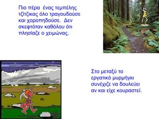 ο τζίτζικας και ο μέρμηγκας | PPT