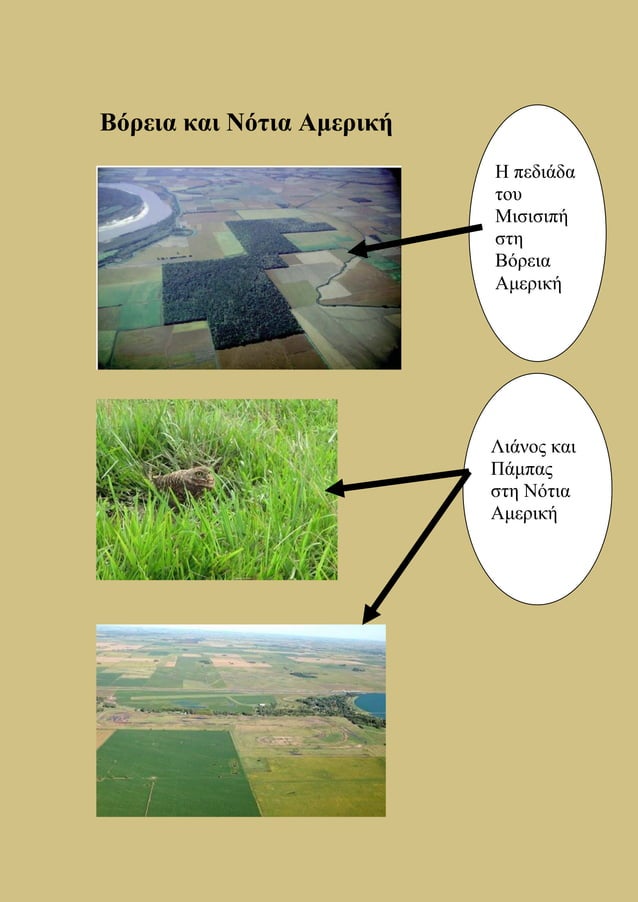 Εικόνες από τις μεγάλες πεδιάδες | PDF