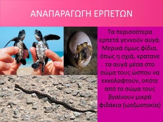 Aναπαραγωγη ζωων | PPTX
