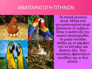 Aναπαραγωγη ζωων | PPTX