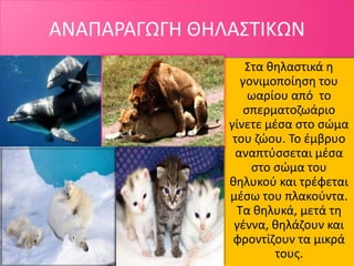 Aναπαραγωγη ζωων | PPTX