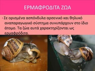 Aναπαραγωγη ζωων | PPTX