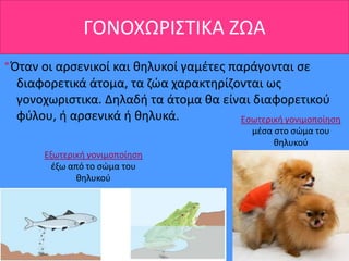 Aναπαραγωγη ζωων | PPTX