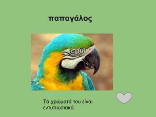 τα ζώα της ζούγκλας | PDF