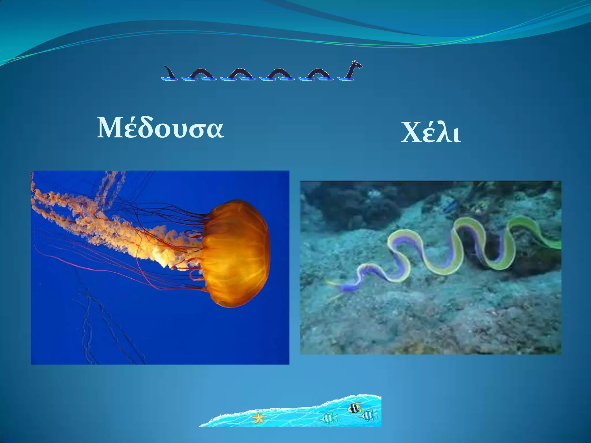 τα ζώα της θάλασσας | PPTX