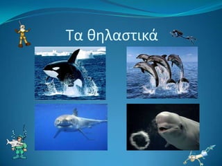 τα ζώα της θάλασσας | PPTX