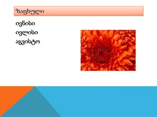 წელიწადის დროები | PPTX