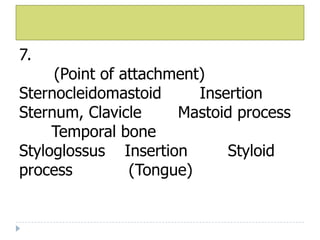 การตั้งชื่อกล้ามเนื้อ | PPTX