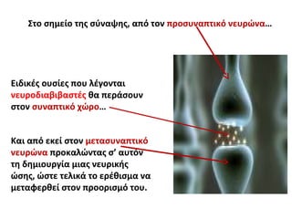 εισαγωγή νευρικό | PPT