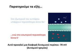 εισαγωγή νευρικό | PPT