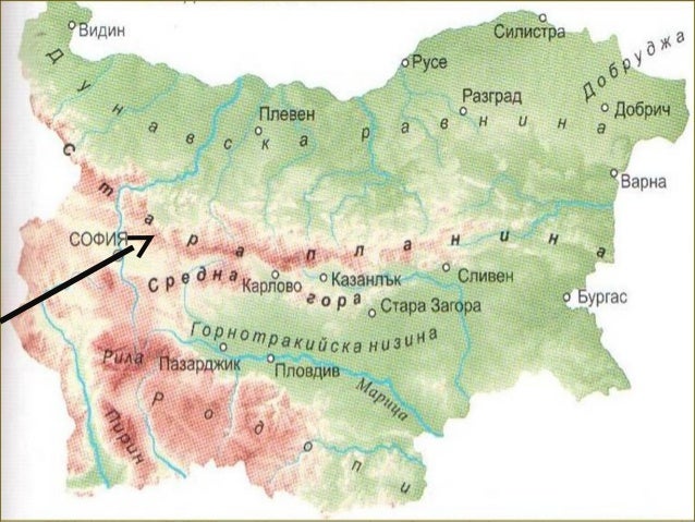 Дунавска равнина