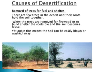 desertification.. | PPTX