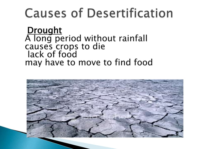 desertification.. | PPTX | Agriculture | Industries