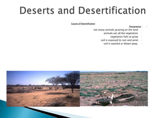 desertification.. | PPTX