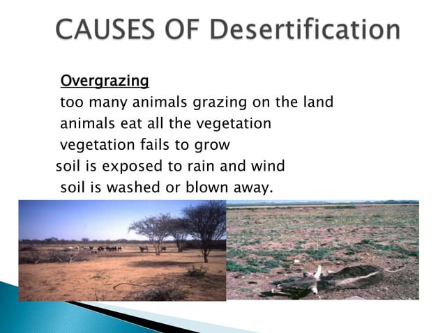 desertification.. | PPTX | Agriculture | Industries
