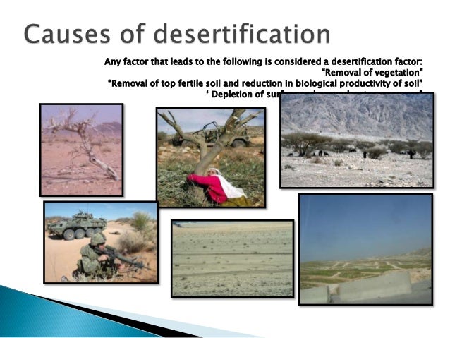 What Is Desertification And What Can Be Done To Prevent It