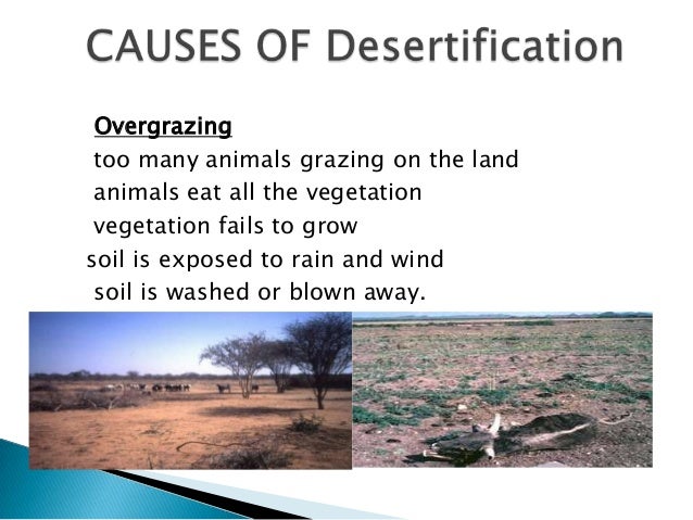 desertification..