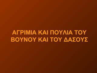 ΑΓΡΙΜΙΑ ΚΑΙ ΠΟΥΛΙΑ ΤΟΥ ΔΑΣΟΥΣ ΚΑΙ ΤΟΥ ΒΟΥΝΟΥ | PPT