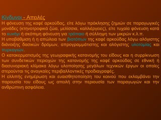 ΑΓΡΙΜΙΑ ΚΑΙ ΠΟΥΛΙΑ ΤΟΥ ΔΑΣΟΥΣ ΚΑΙ ΤΟΥ ΒΟΥΝΟΥ | PPT