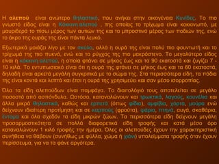 ΑΓΡΙΜΙΑ ΚΑΙ ΠΟΥΛΙΑ ΤΟΥ ΔΑΣΟΥΣ ΚΑΙ ΤΟΥ ΒΟΥΝΟΥ | PPT