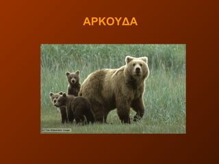 ΑΓΡΙΜΙΑ ΚΑΙ ΠΟΥΛΙΑ ΤΟΥ ΔΑΣΟΥΣ ΚΑΙ ΤΟΥ ΒΟΥΝΟΥ | PPT
