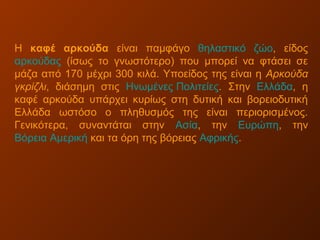 ΑΓΡΙΜΙΑ ΚΑΙ ΠΟΥΛΙΑ ΤΟΥ ΔΑΣΟΥΣ ΚΑΙ ΤΟΥ ΒΟΥΝΟΥ | PPT