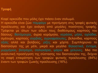 ΑΓΡΙΜΙΑ ΚΑΙ ΠΟΥΛΙΑ ΤΟΥ ΔΑΣΟΥΣ ΚΑΙ ΤΟΥ ΒΟΥΝΟΥ | PPT