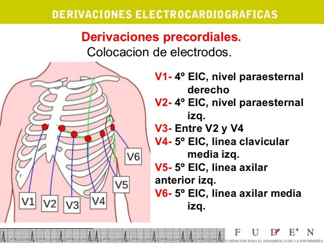 ECG. Día 1. Principios básicos 2.
