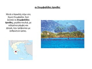το ελάφι, οι στυμφαλίδεςκαι οι στάβλοι | PPT