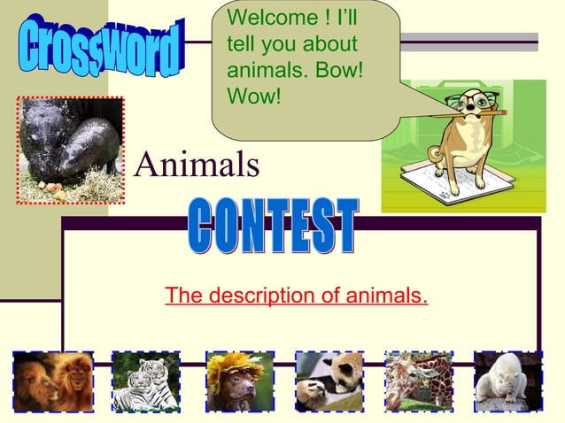 Animals | PPT | Cats | Pets