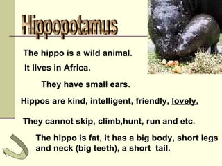 Animals | PPT