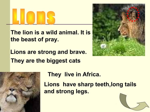 Animals | PPT | Cats | Pets